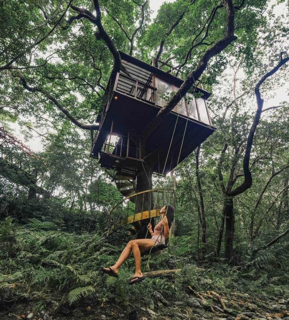 沖縄のおおきなきに泊まる。森や動植物から空間を借りて、自然に溶け込むリゾートTreeful Treehouse | インタビュー ...