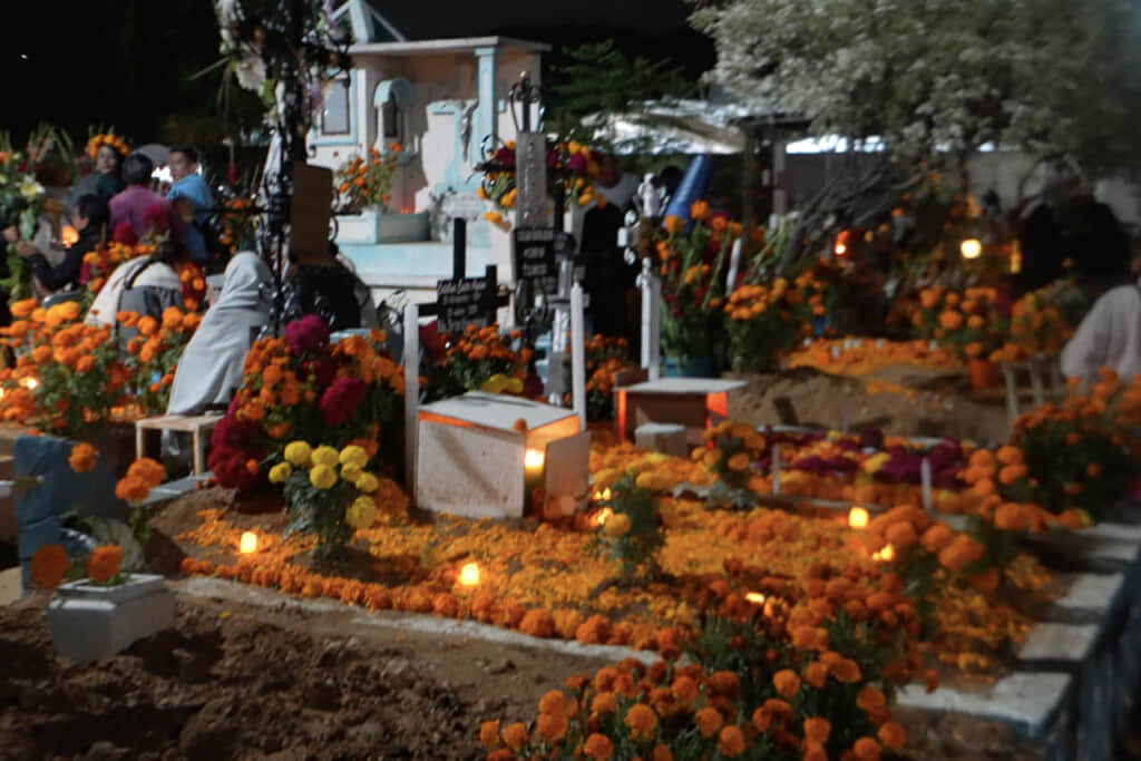 お盆なのにパーティー!? メキシコ「死者の祭り」で流した涙 | コラム | Livhub | サステナブルツーリズムの情報メディア